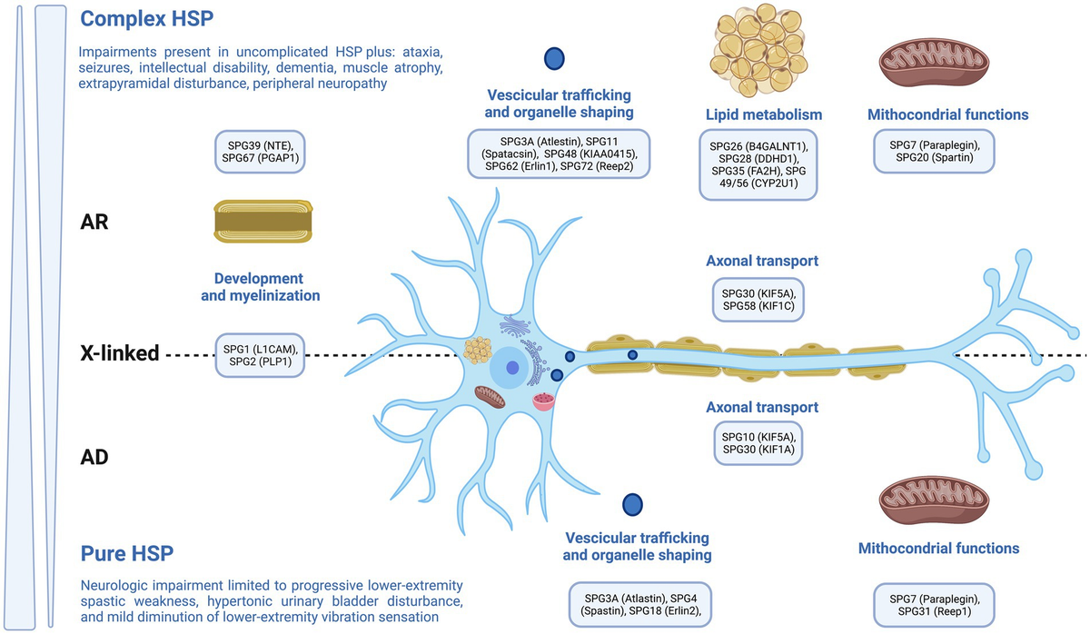 Frontiers | The therapeutic effects of physical treatment for patients ...