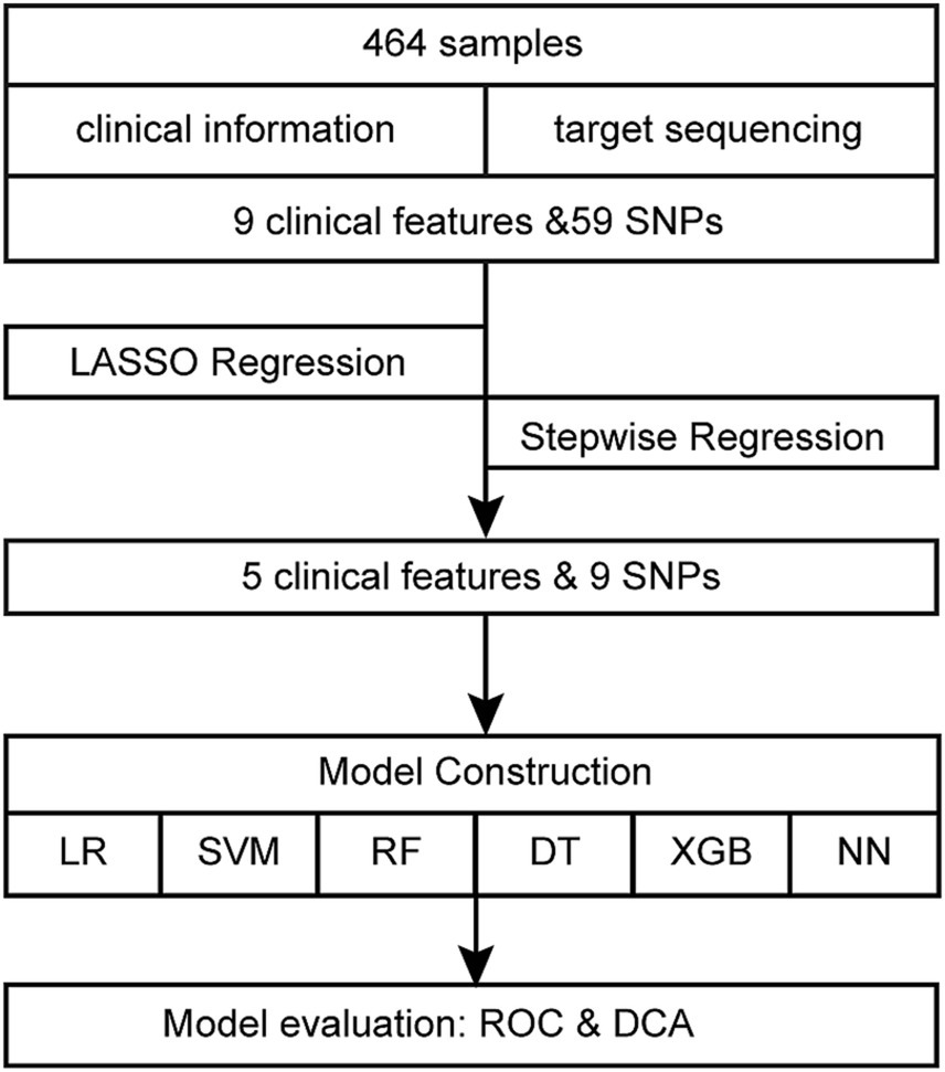 Frontiers | A multi-variable predictive warning model for cervical ...