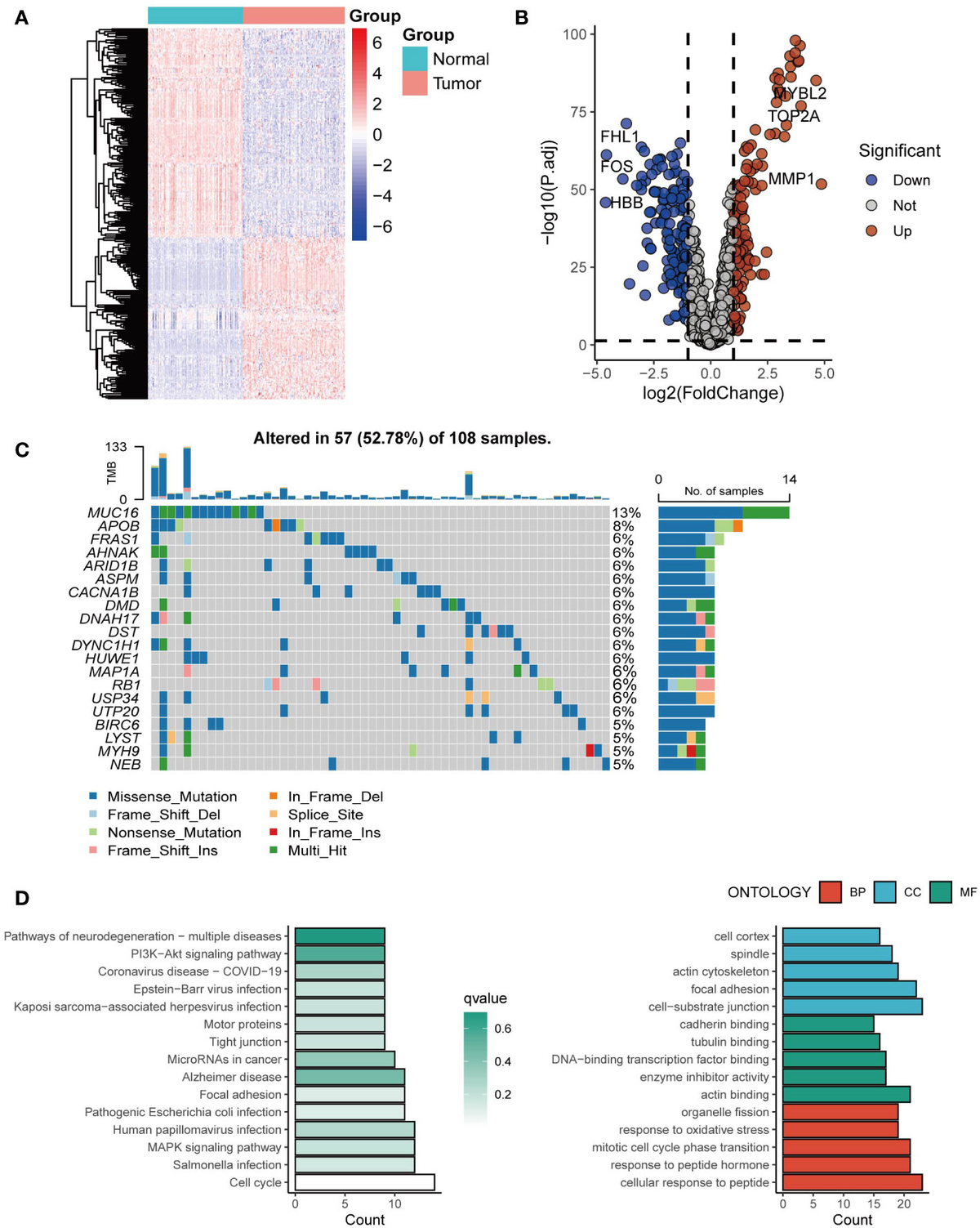 Frontiers | An exosome-based specific transcriptomic signature for profiling regulation patterns ...