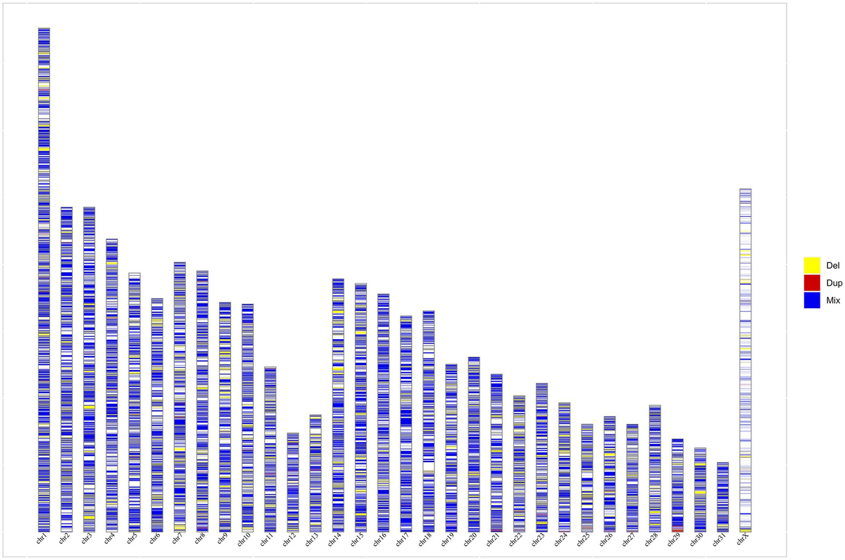 Frontiers | Genome-wide copy number variation detection in a large ...