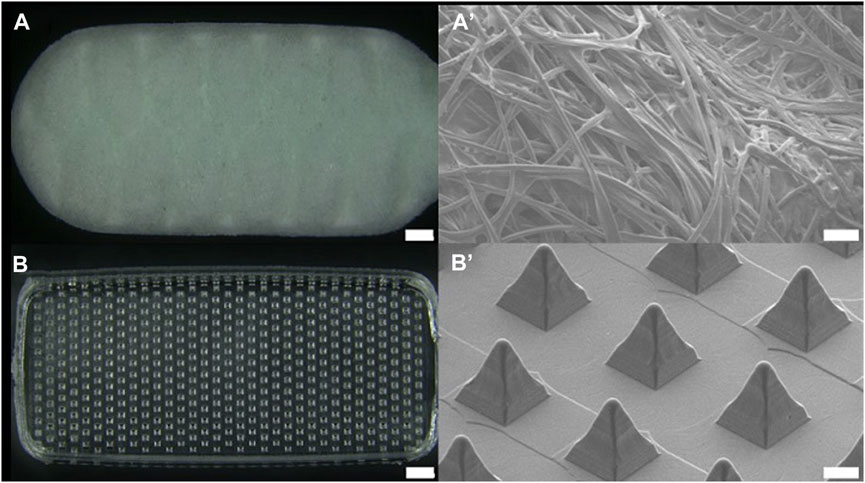 Frontiers | Safety tests and clinical research on buccal and nasal ...