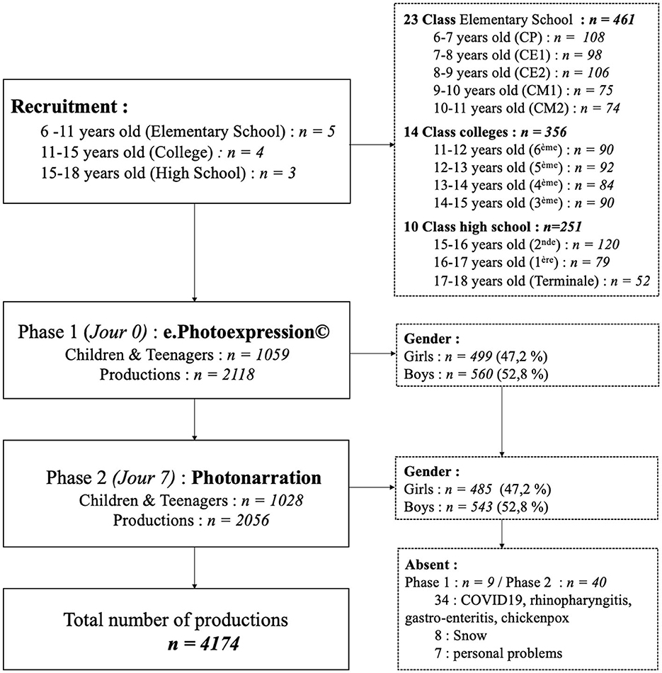 Frontiers | Girl–boy differences in perceptions of health determinants ...
