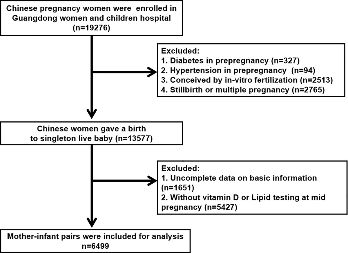 Frontiers | Association between maternal lipid profiles and vitamin D ...