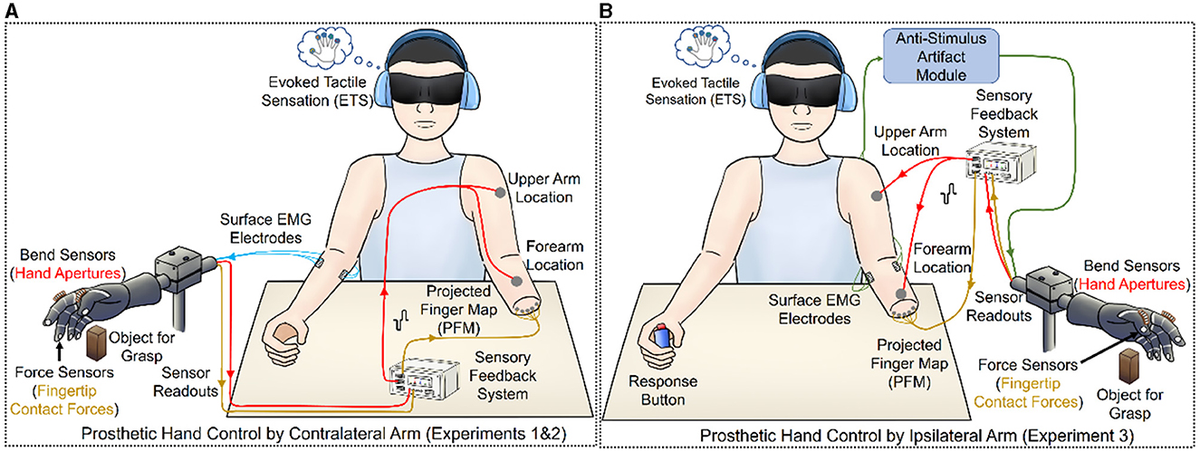 Frontiers | Fusion of dual modalities of non-invasive sensory feedback ...