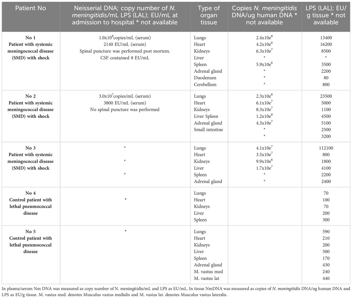 Frontiers | Neisseria meningitidis accumulate in large organs during ...