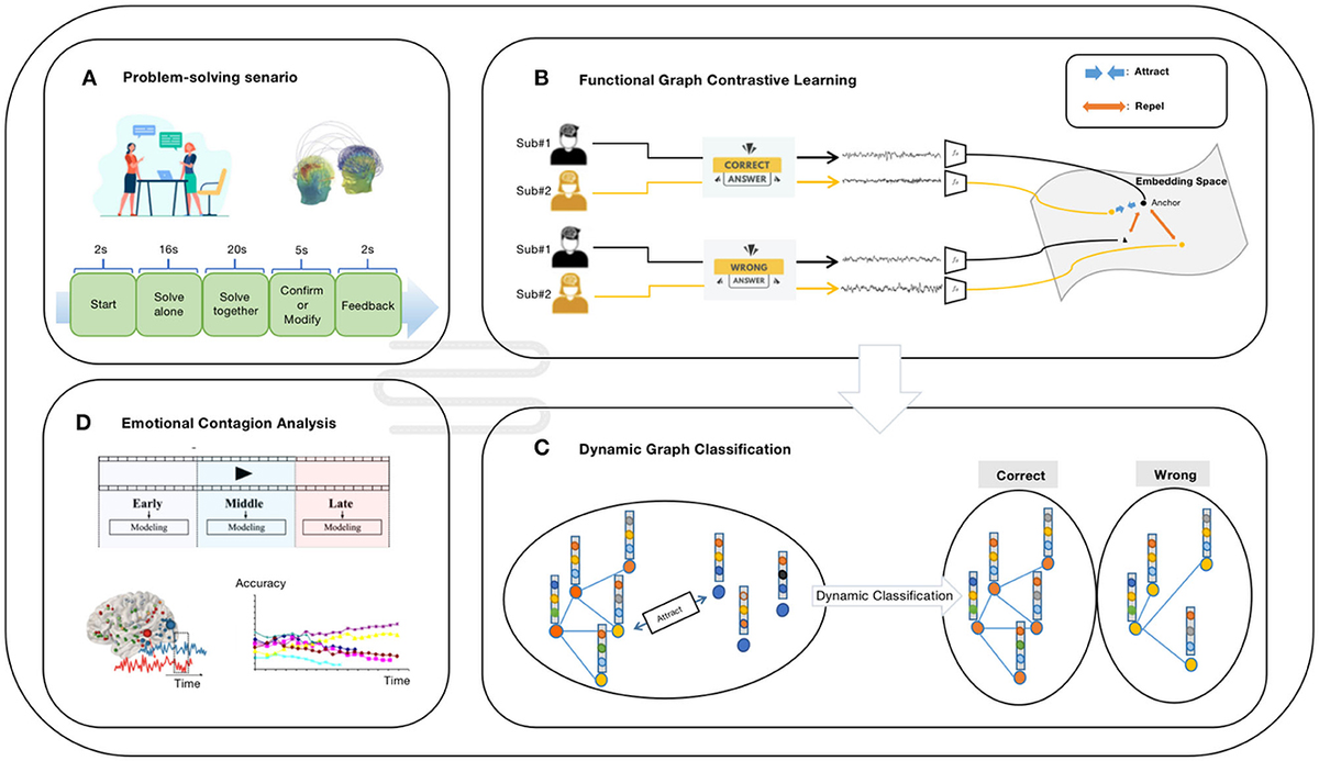 Frontiers | Functional graph contrastive learning of hyperscanning EEG ...