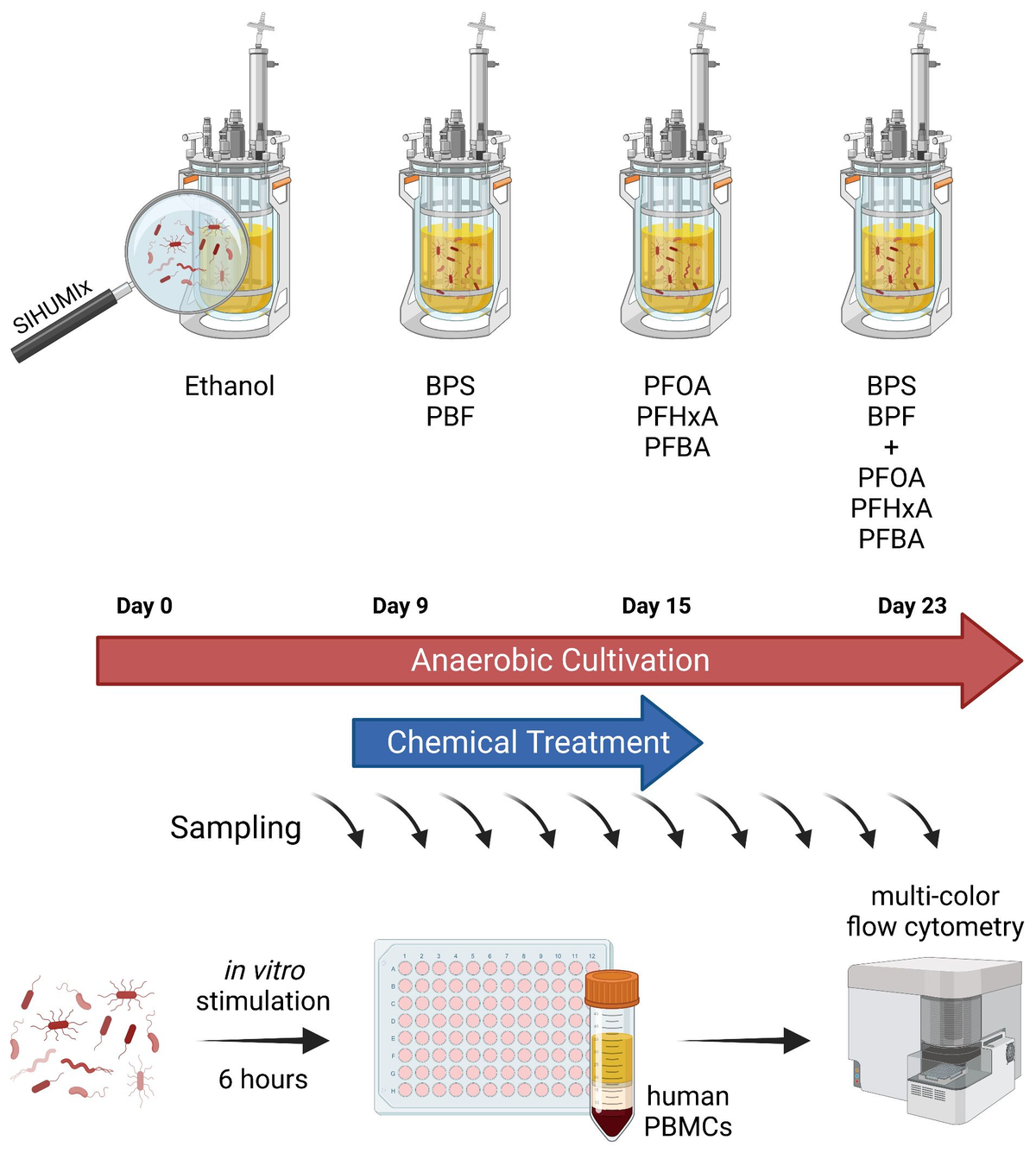 Frontiers | An in vitro model system for testing chemical effects on ...