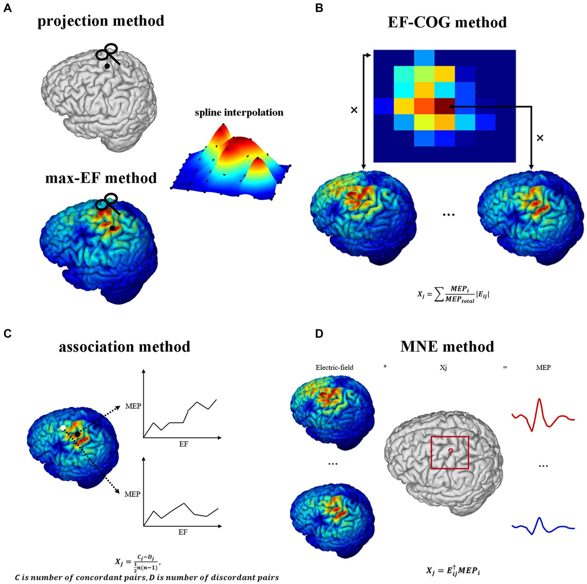 Frontiers | Transcranial magnetic stimulation mapping of the motor cortex: comparison of five ...