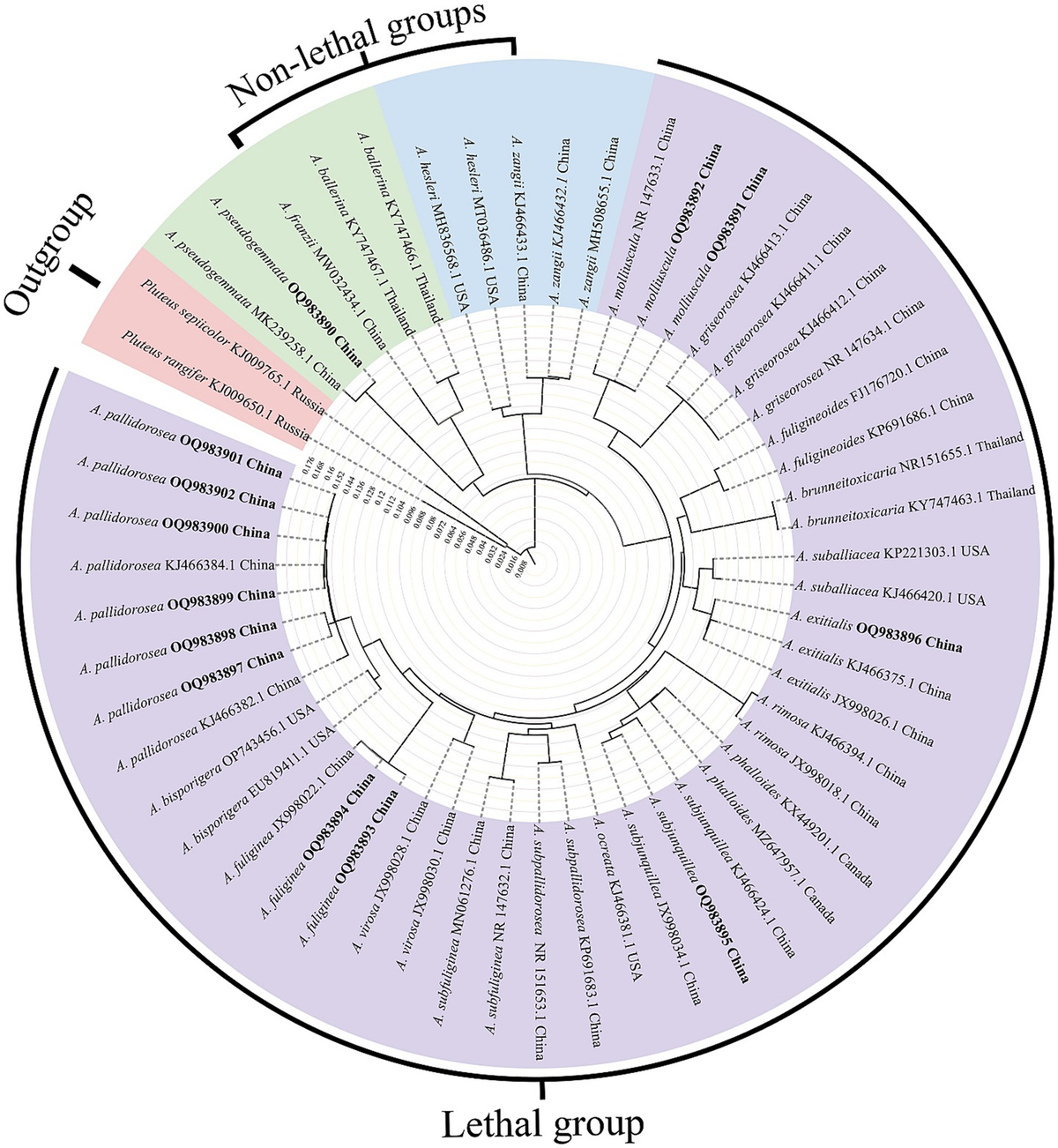 Frontiers | Identification of lethal species in amanita section ...