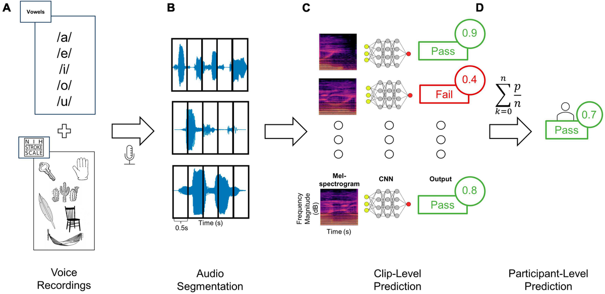 Frontiers | Machine-learning assisted swallowing assessment: a deep learning-based quality ...