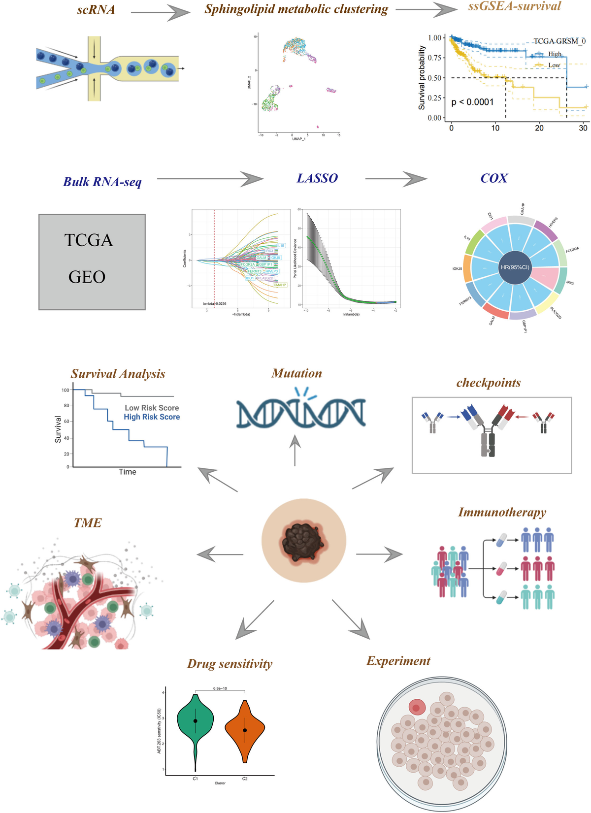Frontiers | Single-cell sequencing analysis related to sphingolipid metabolism guides ...