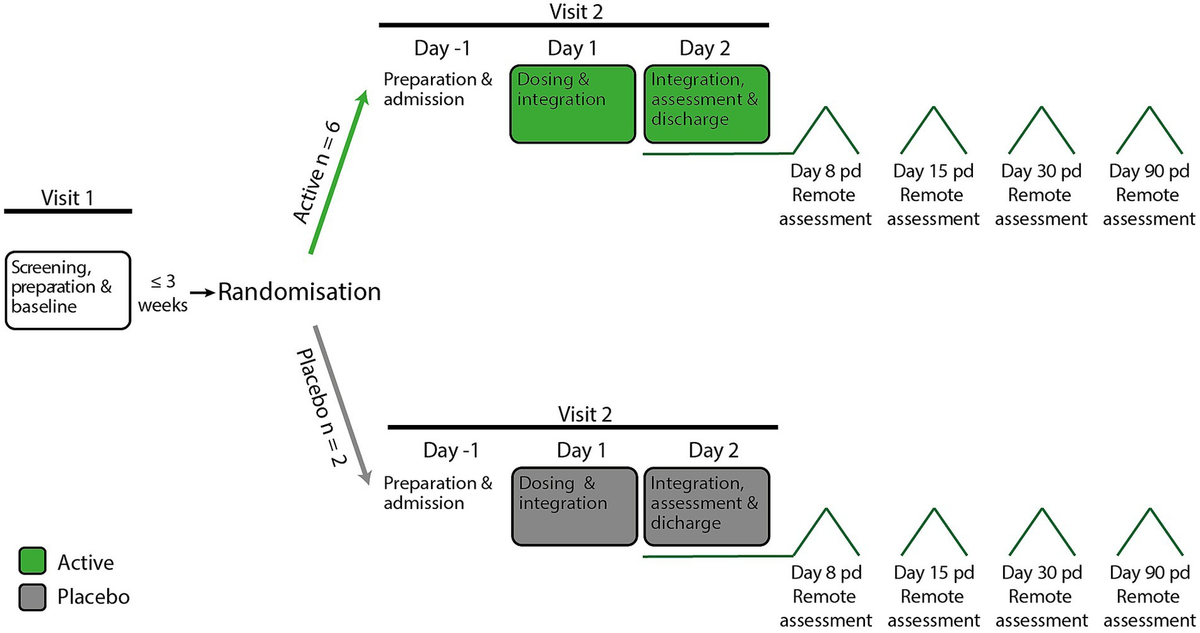 Frontiers | Safety, tolerability, pharmacodynamic and wellbeing effects ...
