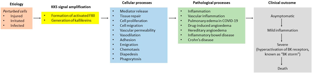 Frontiers | Editorial: Kallikrein-kinin system: insights into a ...