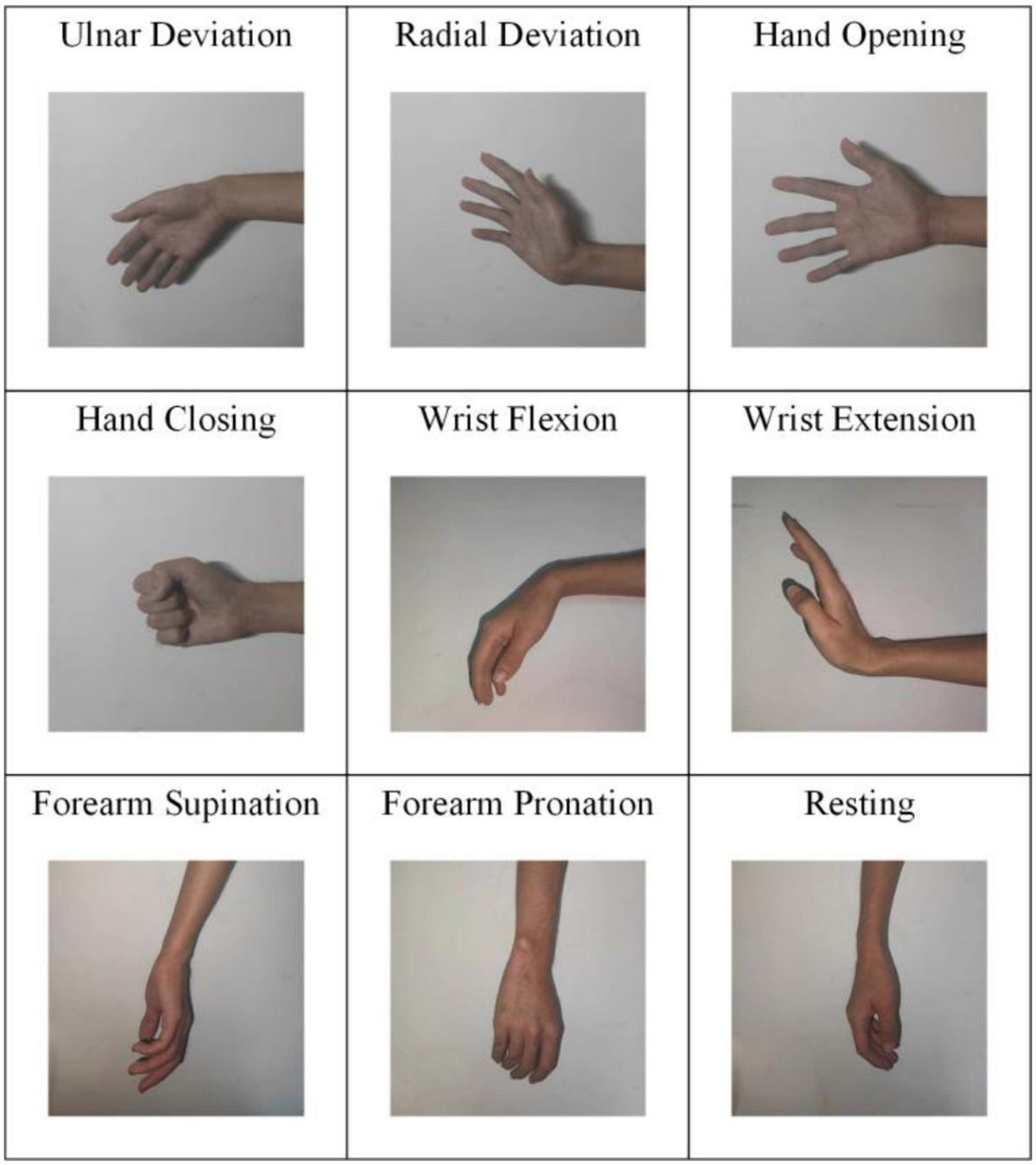 Frontiers | Robust gesture recognition based on attention-deep fast ...
