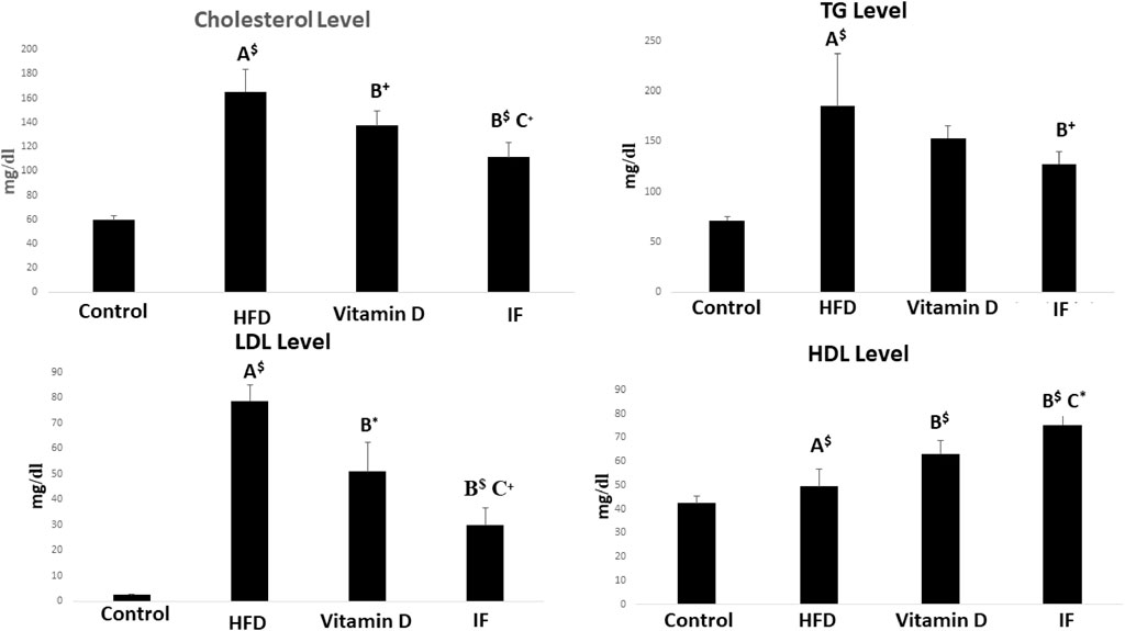 Frontiers | Potential role for vitamin D vs. intermittent fasting in ...