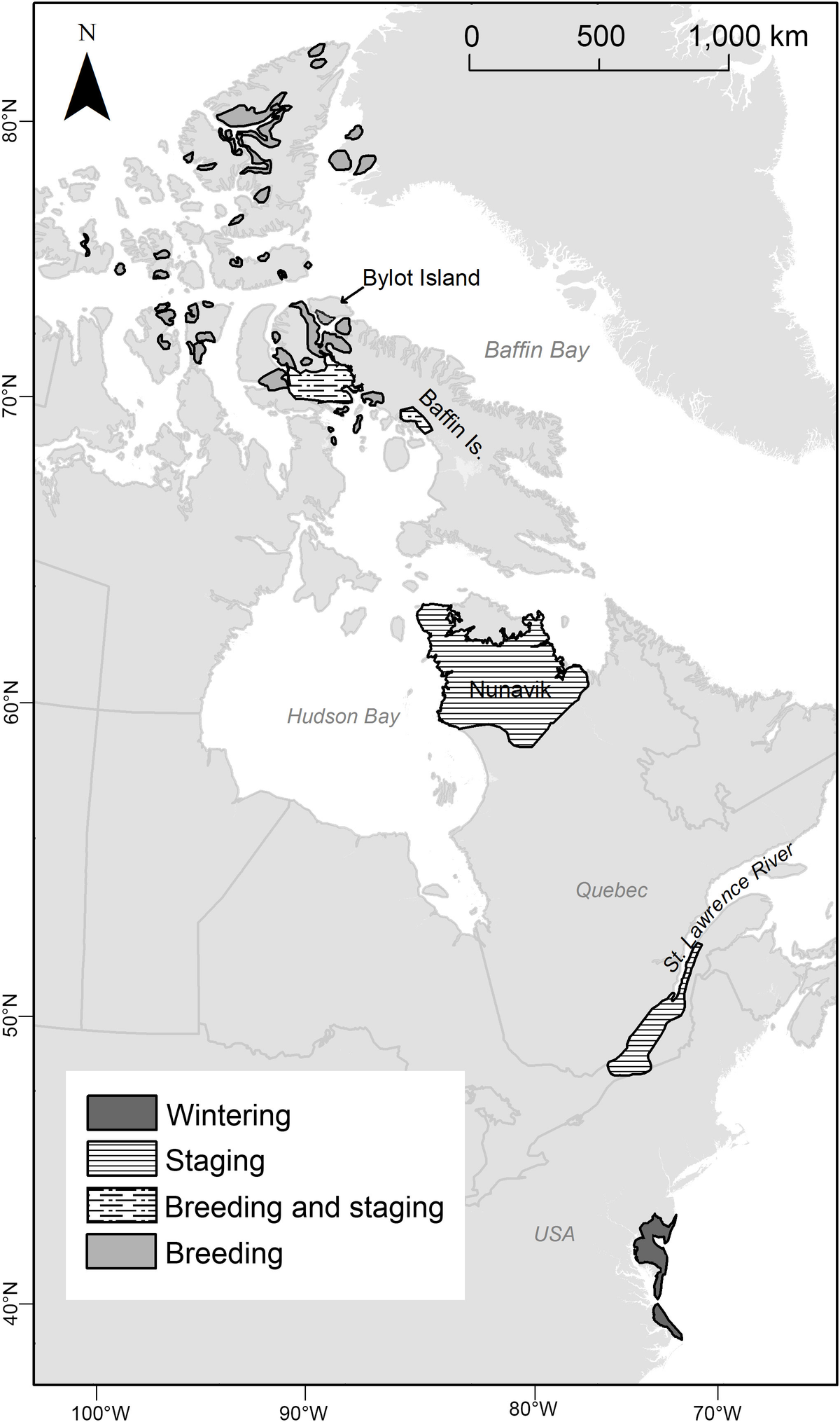 Frontiers | Can arctic migrants adjust their phenology based on ...