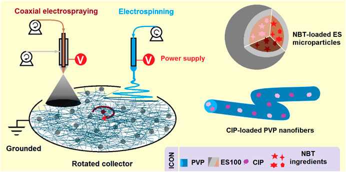 Frontiers | A combined electrohydrodynamic atomization method for preparing nanofiber ...