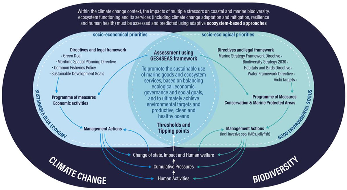 Frontiers | Addressing the cumulative impacts of multiple human pressures in marine systems, for ...