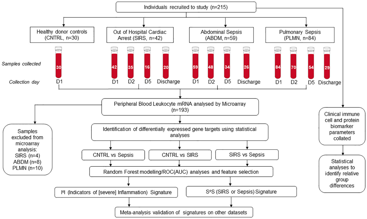 Frontiers | The ‘analysis of gene expression and biomarkers for point ...