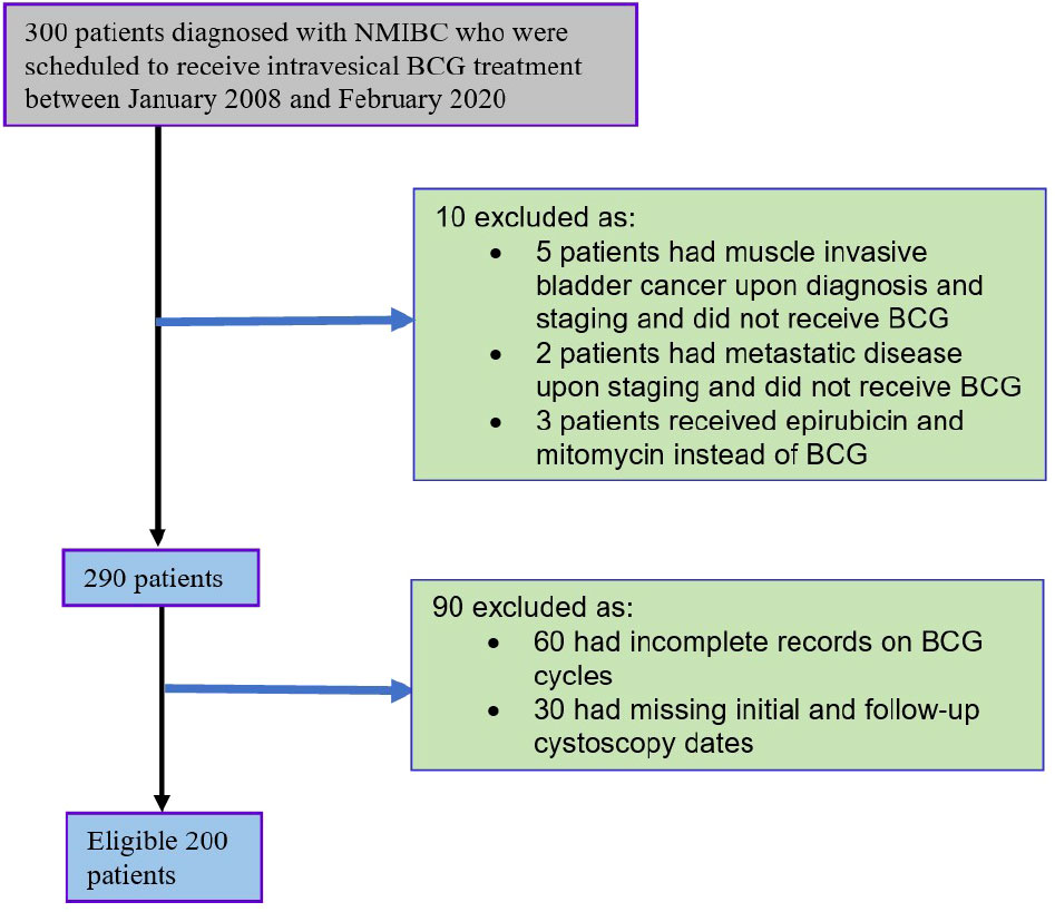 Frontiers | Outcomes of intravesical Bacillus Calmette-Guerin in ...
