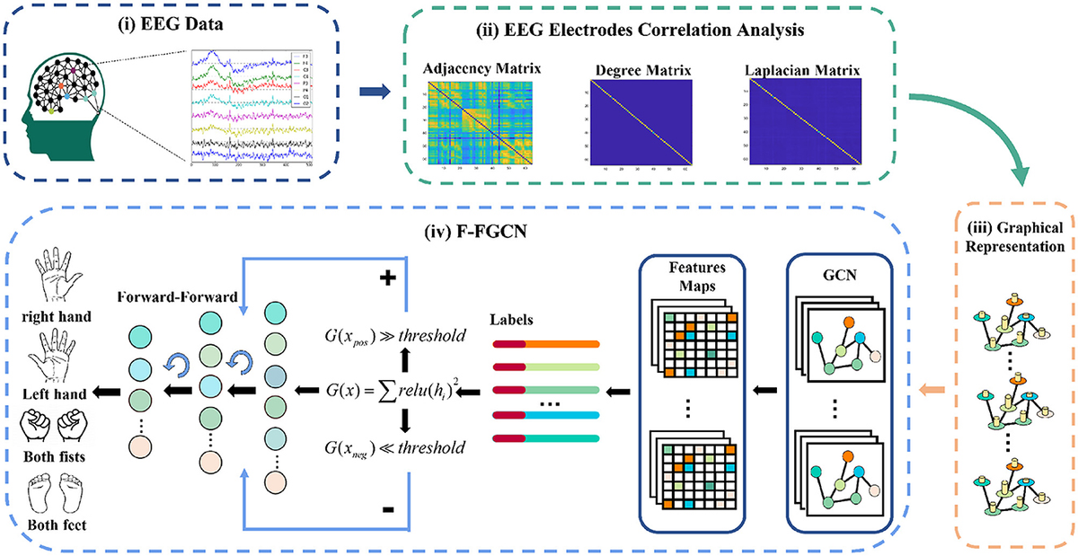 Frontiers | Graph neural network based on brain inspired forward-forward mechanism for motor ...