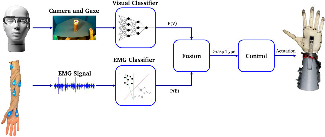 Frontiers | Multimodal fusion of EMG and vision for human grasp intent inference in prosthetic ...