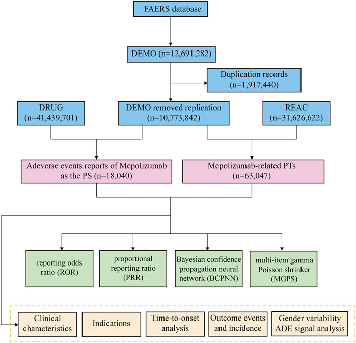 Frontiers | A real-world pharmacovigilance study of mepolizumab in the ...