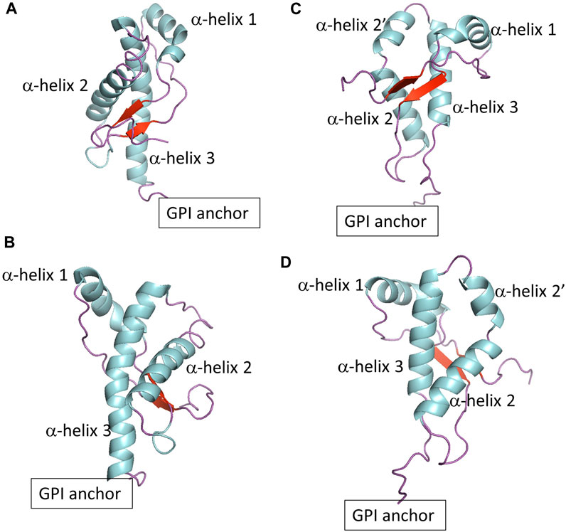Frontiers | Protein-lipid interactions and protein anchoring modulate ...