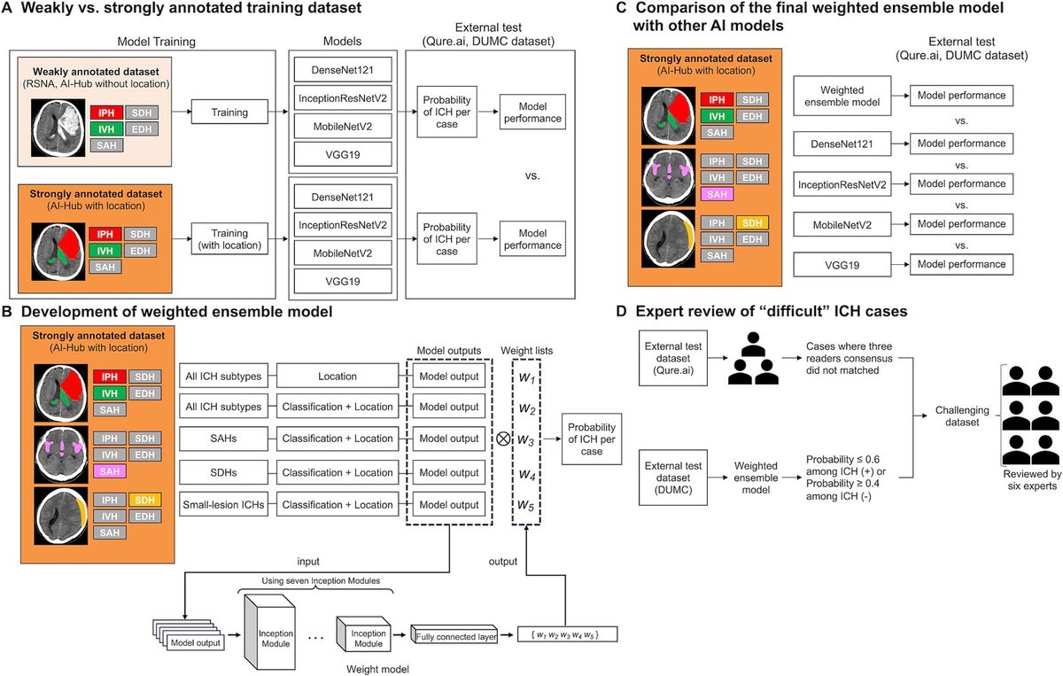 Frontiers | Strengthening deep-learning models for intracranial ...