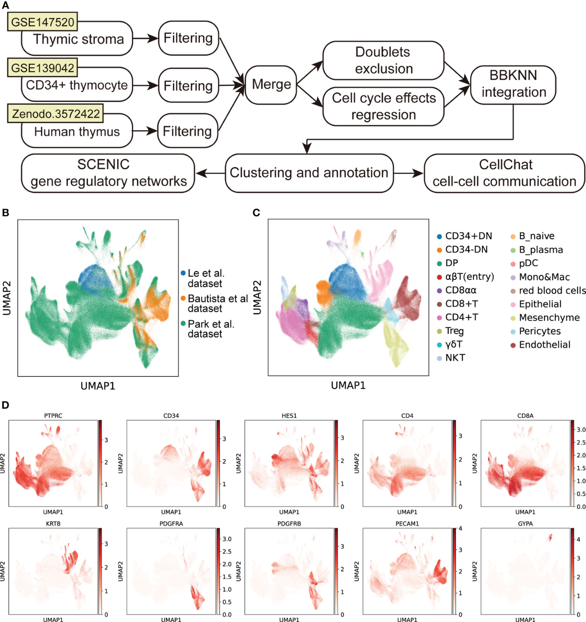 Frontiers | Transcriptional profile of human thymus reveals IGFBP5 is ...
