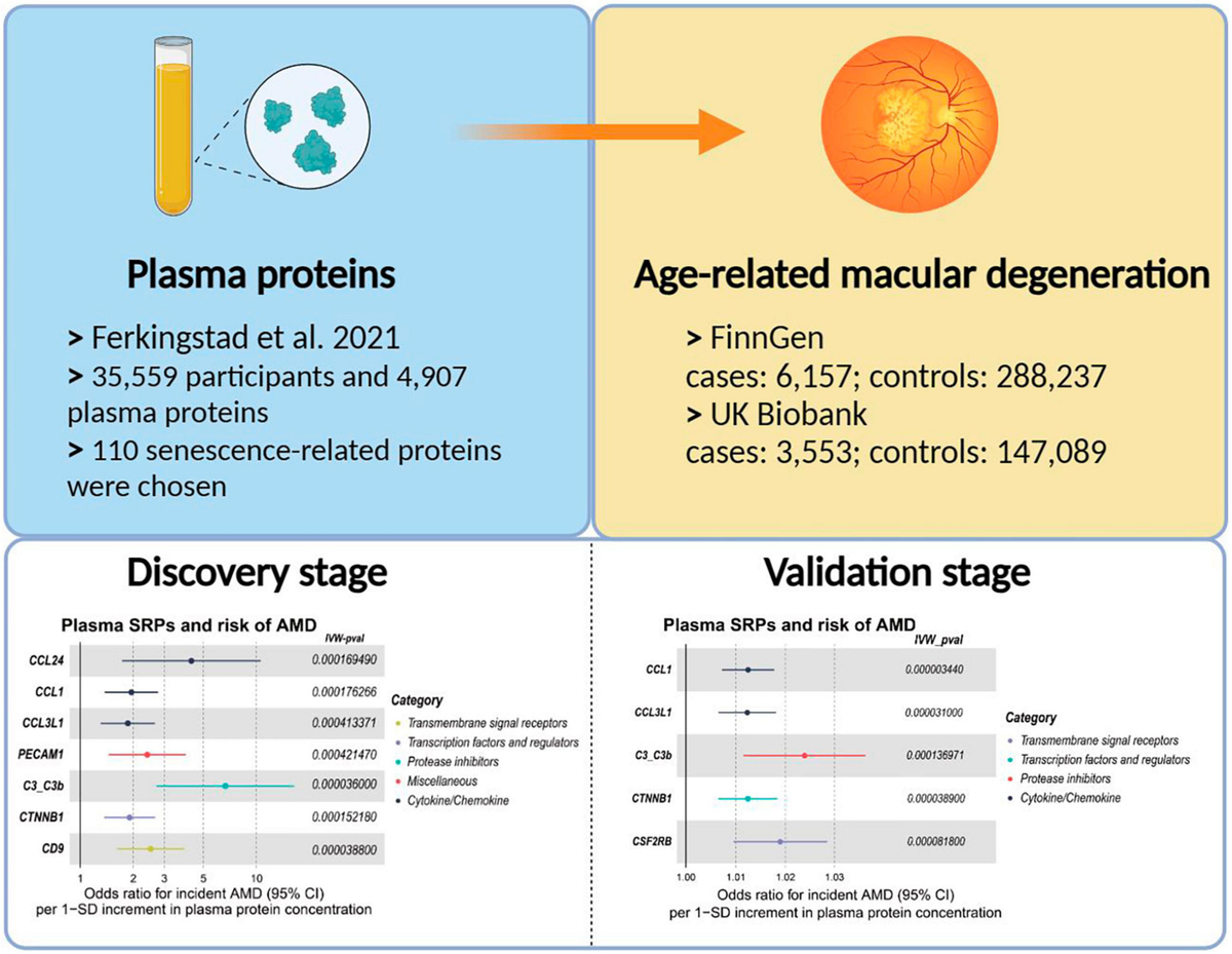 Frontiers | Identification of systemic biomarkers and potential drug targets for age-related ...