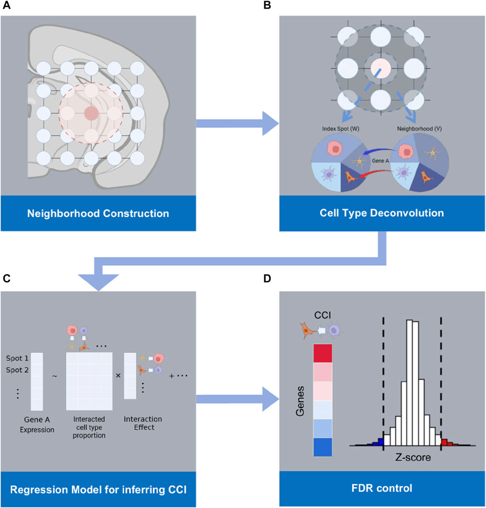 Frontiers | RECCIPE: A new framework assessing localized cell-cell interaction on gene ...