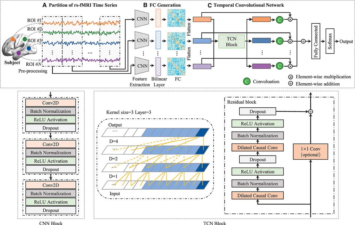 Frontiers | Dynamic functional connectivity analysis with temporal ...
