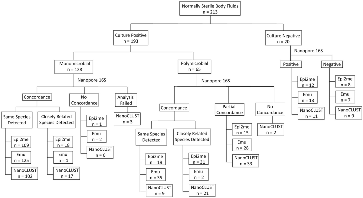 Frontiers | The clinical utility of Nanopore 16S rRNA gene sequencing ...