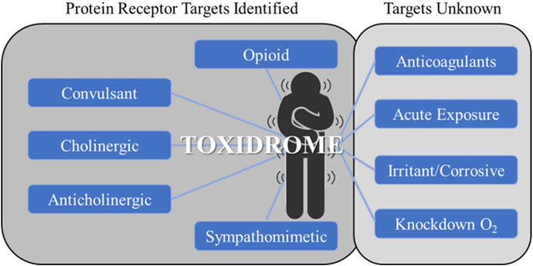 Frontiers | Rapid screening of chemicals for their potential to cause ...