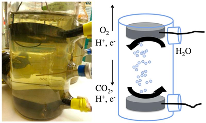 Frontiers | Simplifying microbial electrosynthesis reactor design