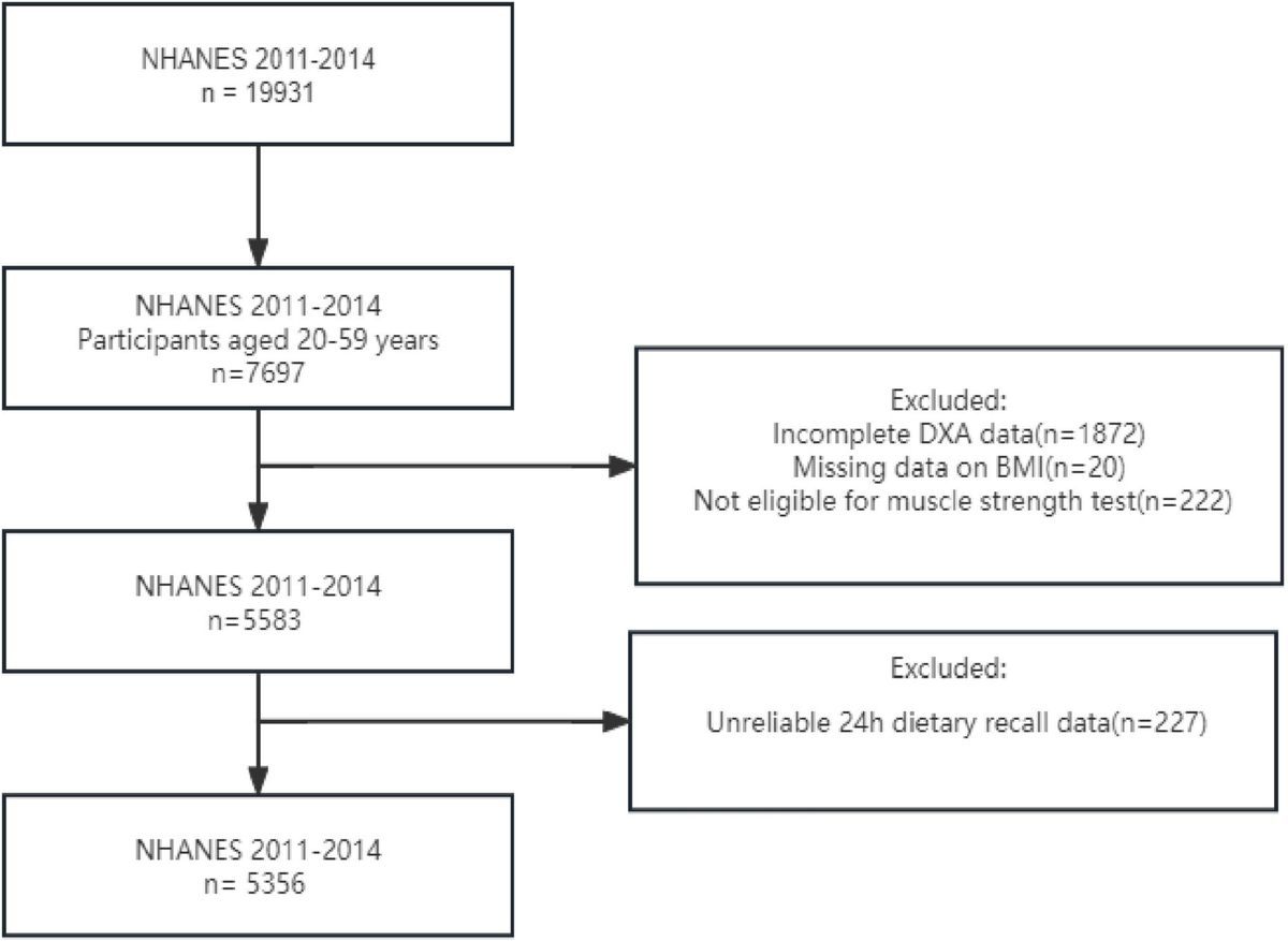 Frontiers | Association of dietary fat intake with skeletal muscle mass ...