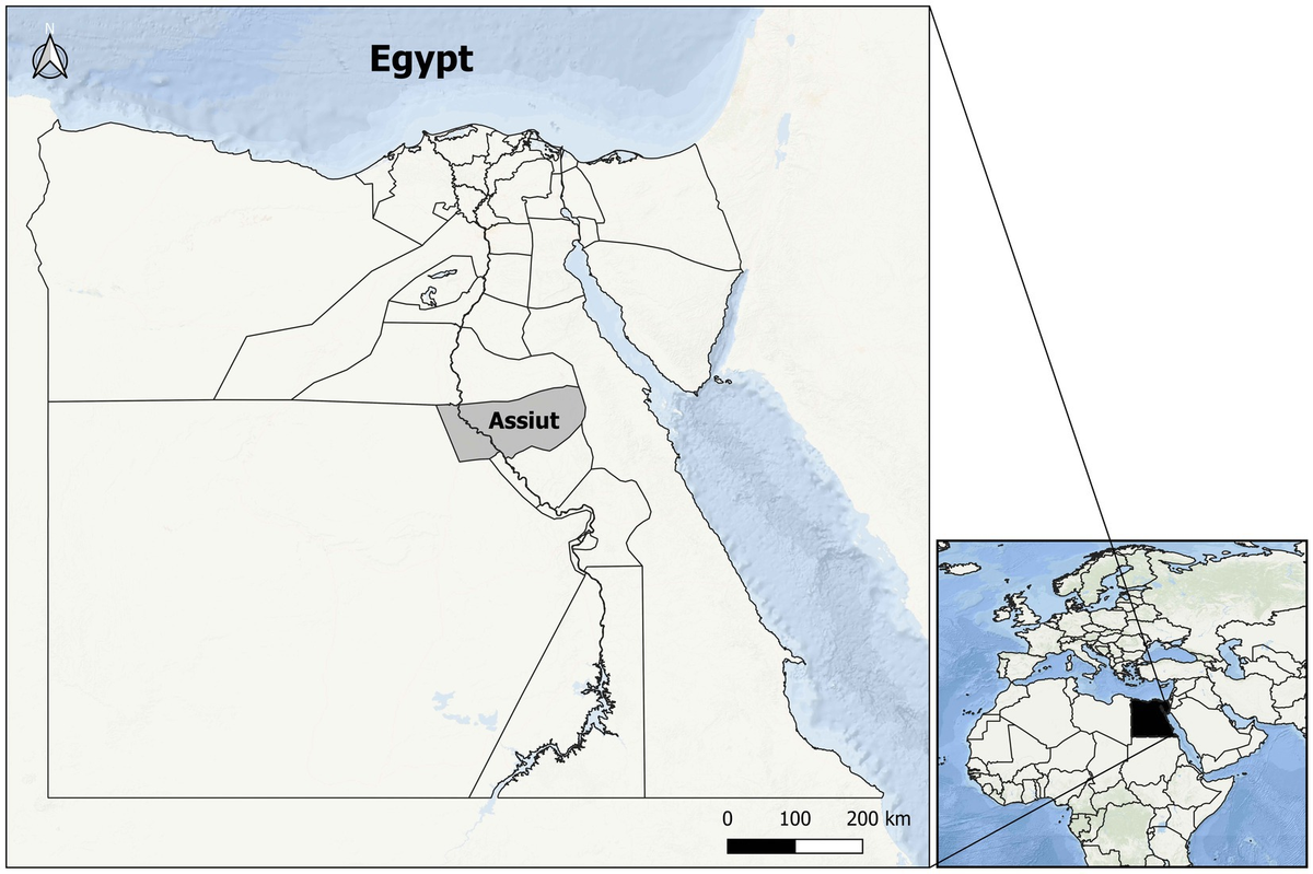 Frontiers | Molecular identification of Haemonchus contortus in sheep ...