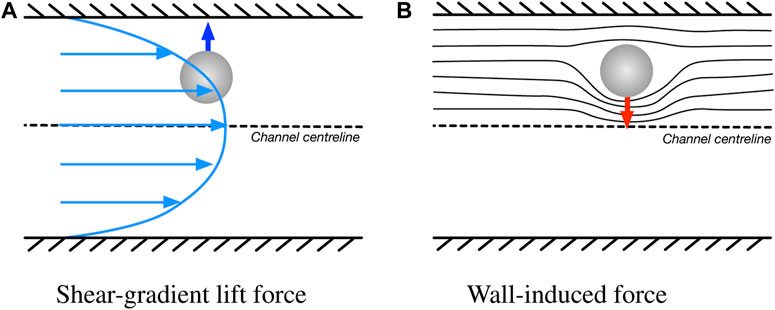 Frontiers | Accelerating the development of inertial microfluidic ...