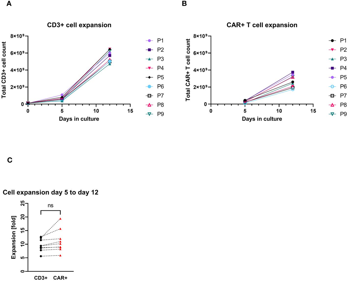 Frontiers | Automated manufacturing and characterization of clinical ...