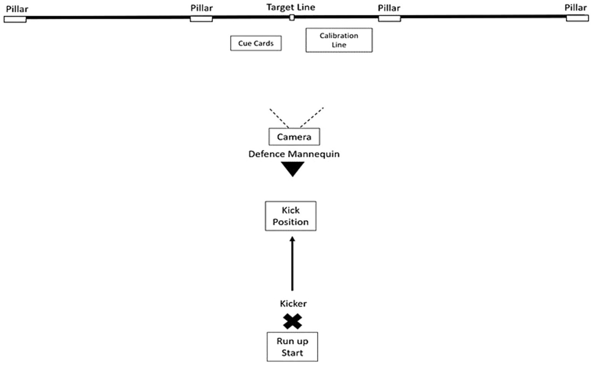 Frontiers | Temporal samples of visual information guides skilled interception