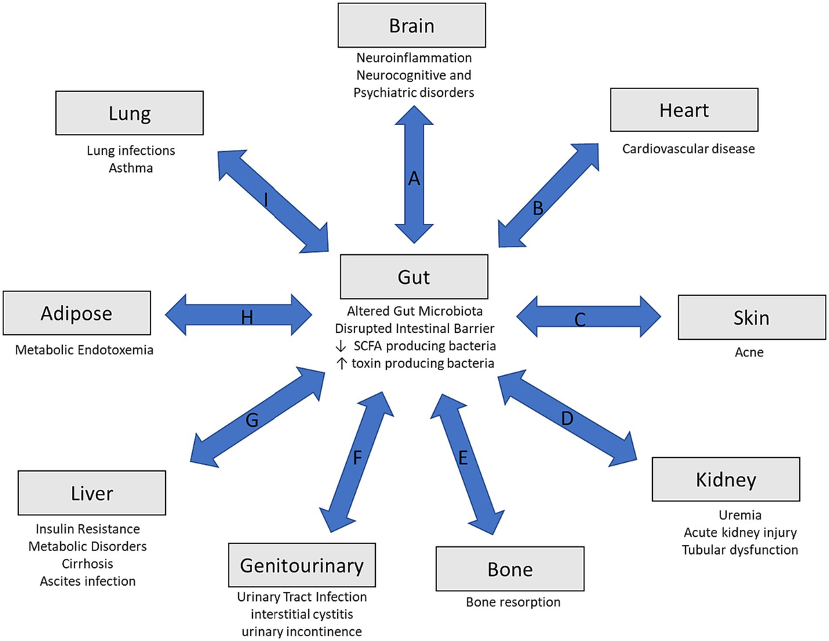 Frontiers | Approach to the diagnosis and management of dysbiosis