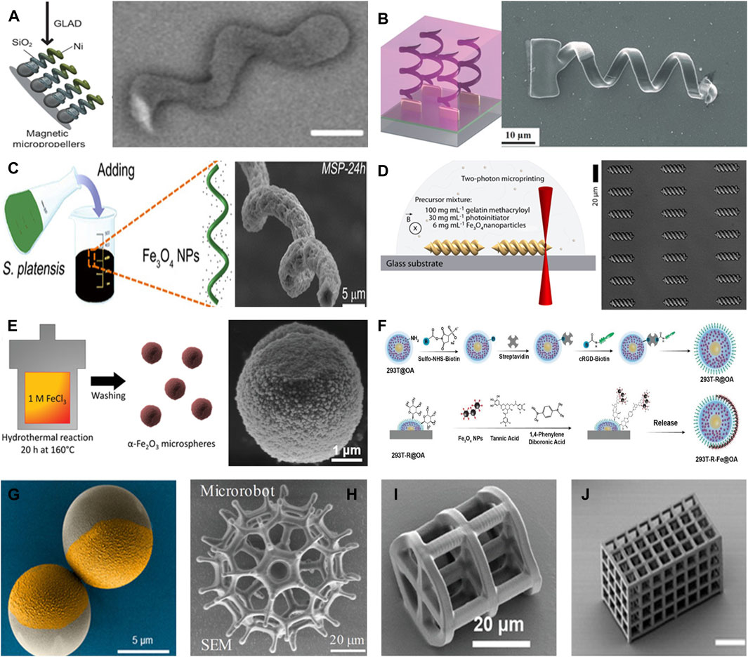 Frontiers | System integration of magnetic medical microrobots: from ...