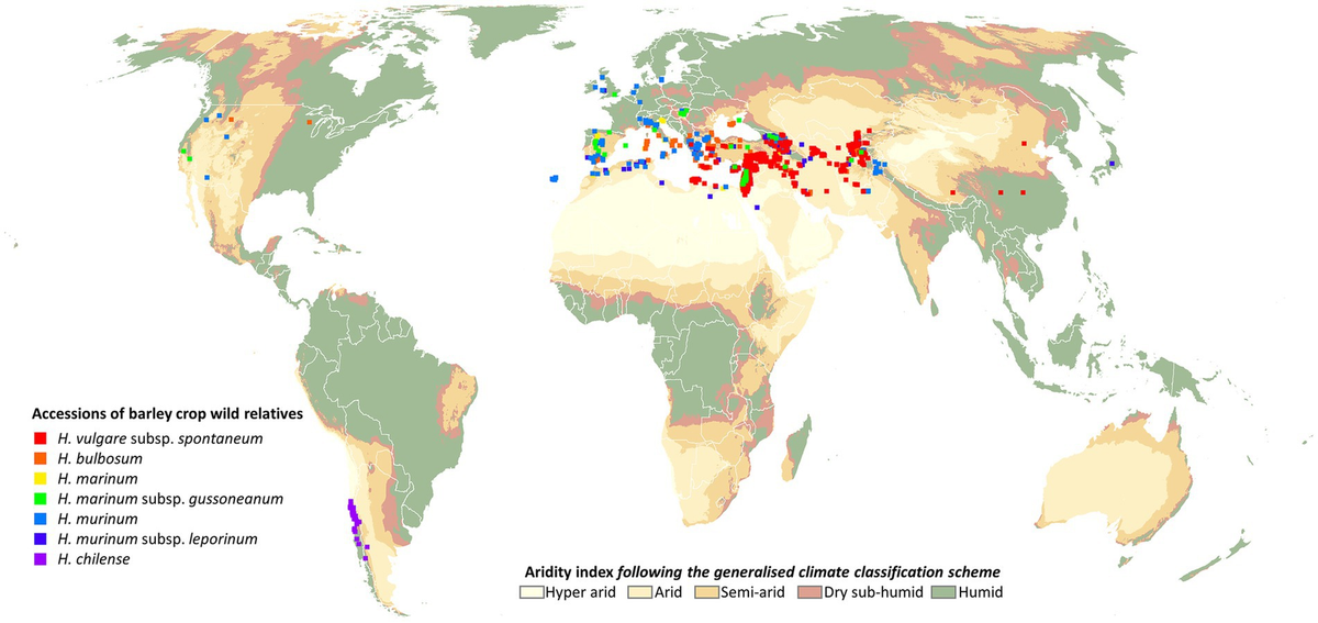 Frontiers | Genome editing to re-domesticate and accelerate use of ...