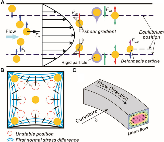 Frontiers | Sheathless inertial particle focusing methods within microfluidic devices: a review