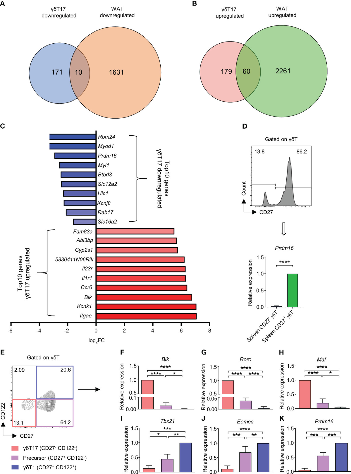 Frontiers | PRDM16 regulates γδT17 cell differentiation via controlling ...