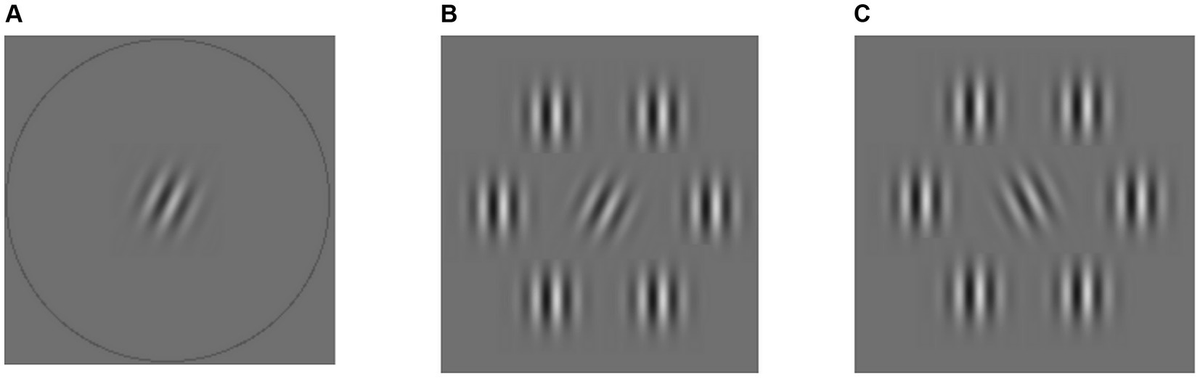 Frontiers | Rapid assessment of peripheral visual crowding