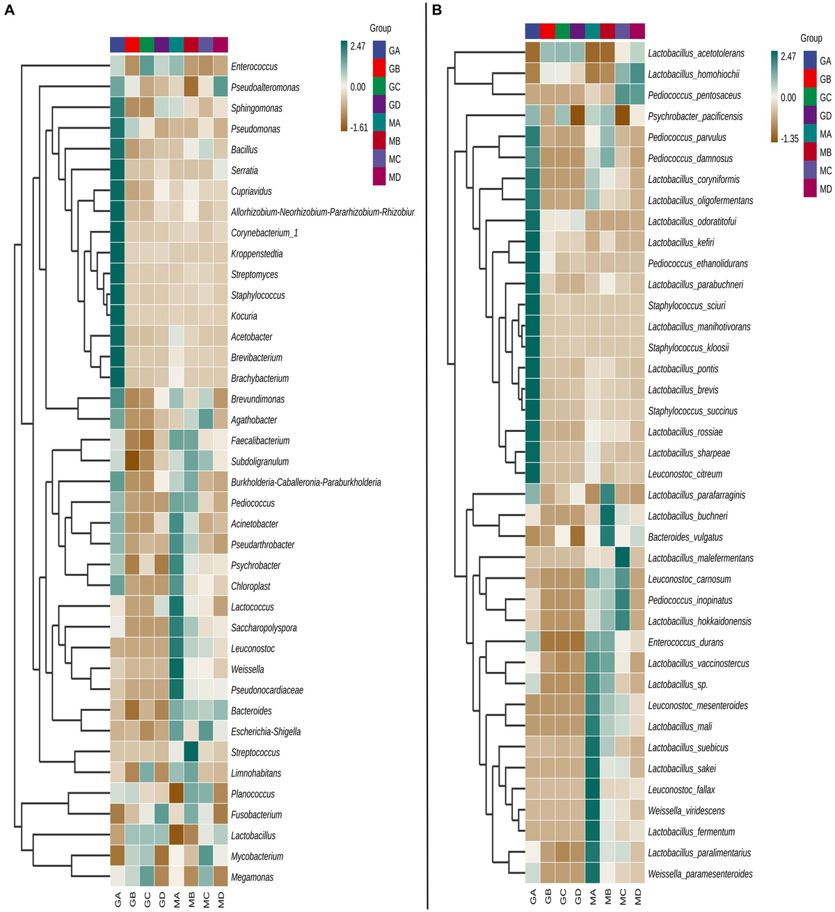Frontiers | Dynamic changes in microbial communities and flavor during ...