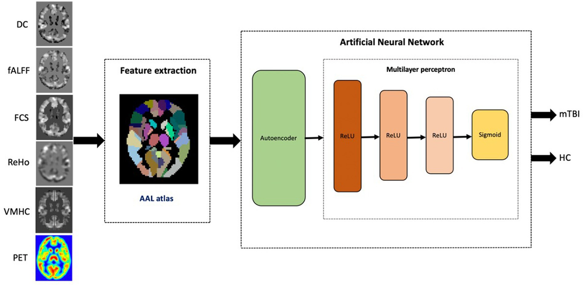 Frontiers | Deep learning-based multimodality classification of chronic mild traumatic brain ...