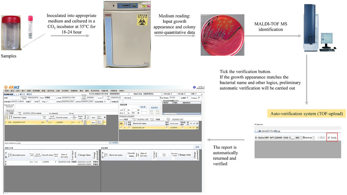 Frontiers | Benefit analysis of the auto-verification system of ...